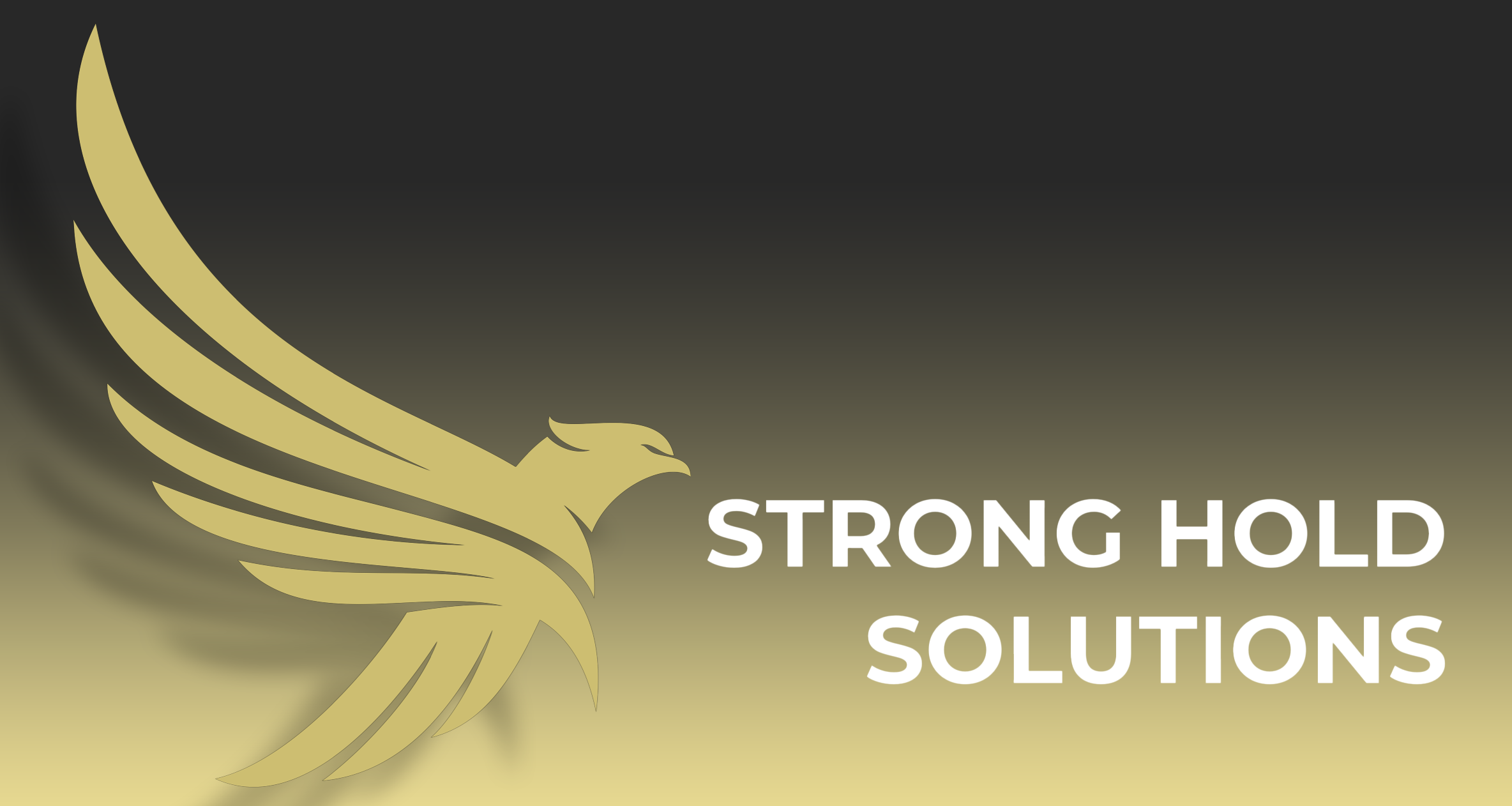 Strong Hold Solutions LLC